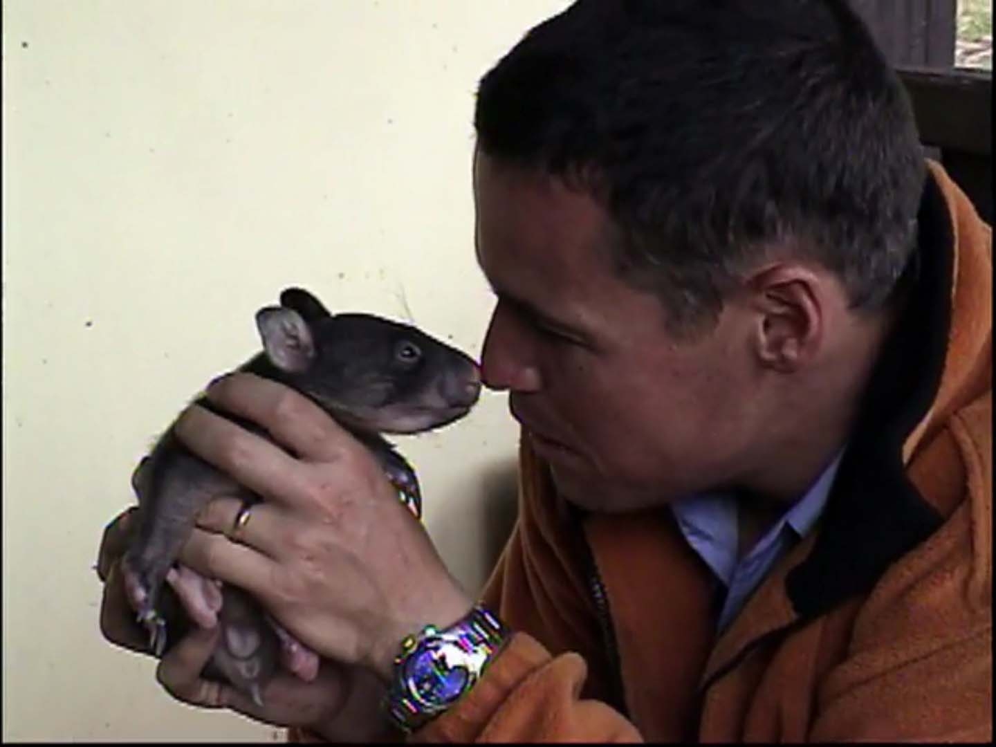 Prime Video: The Jeff Corwin Experience - Season 2