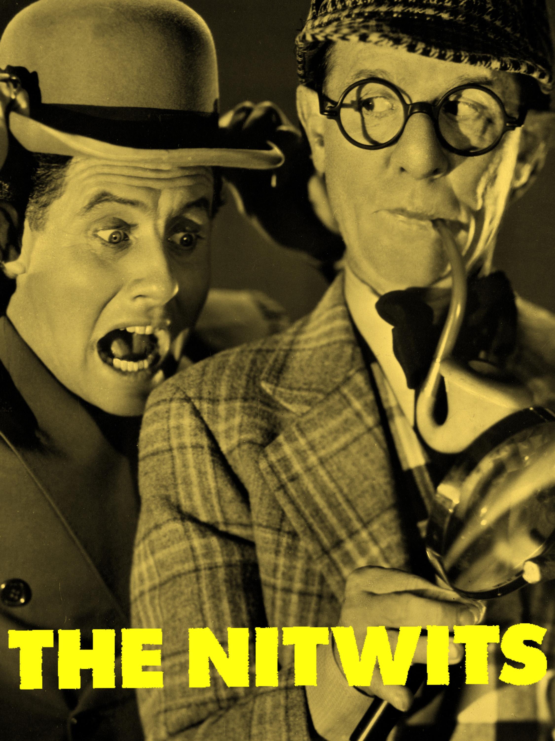 Prime Video: The Nitwits