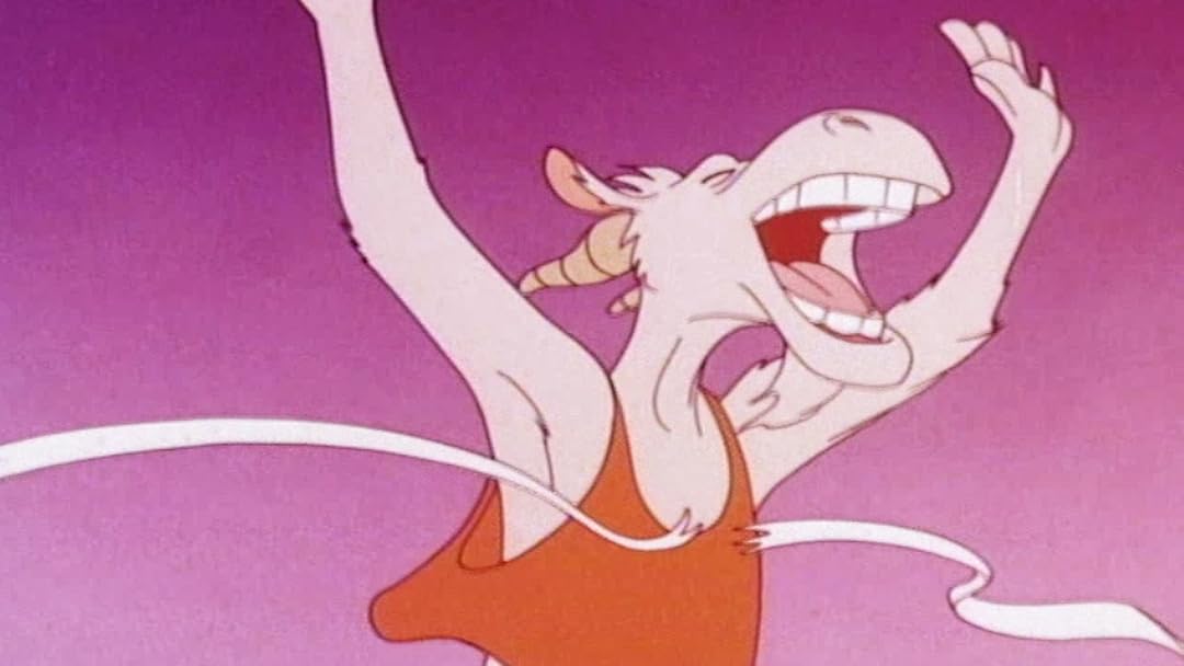 Watch Animalympics | Prime Video