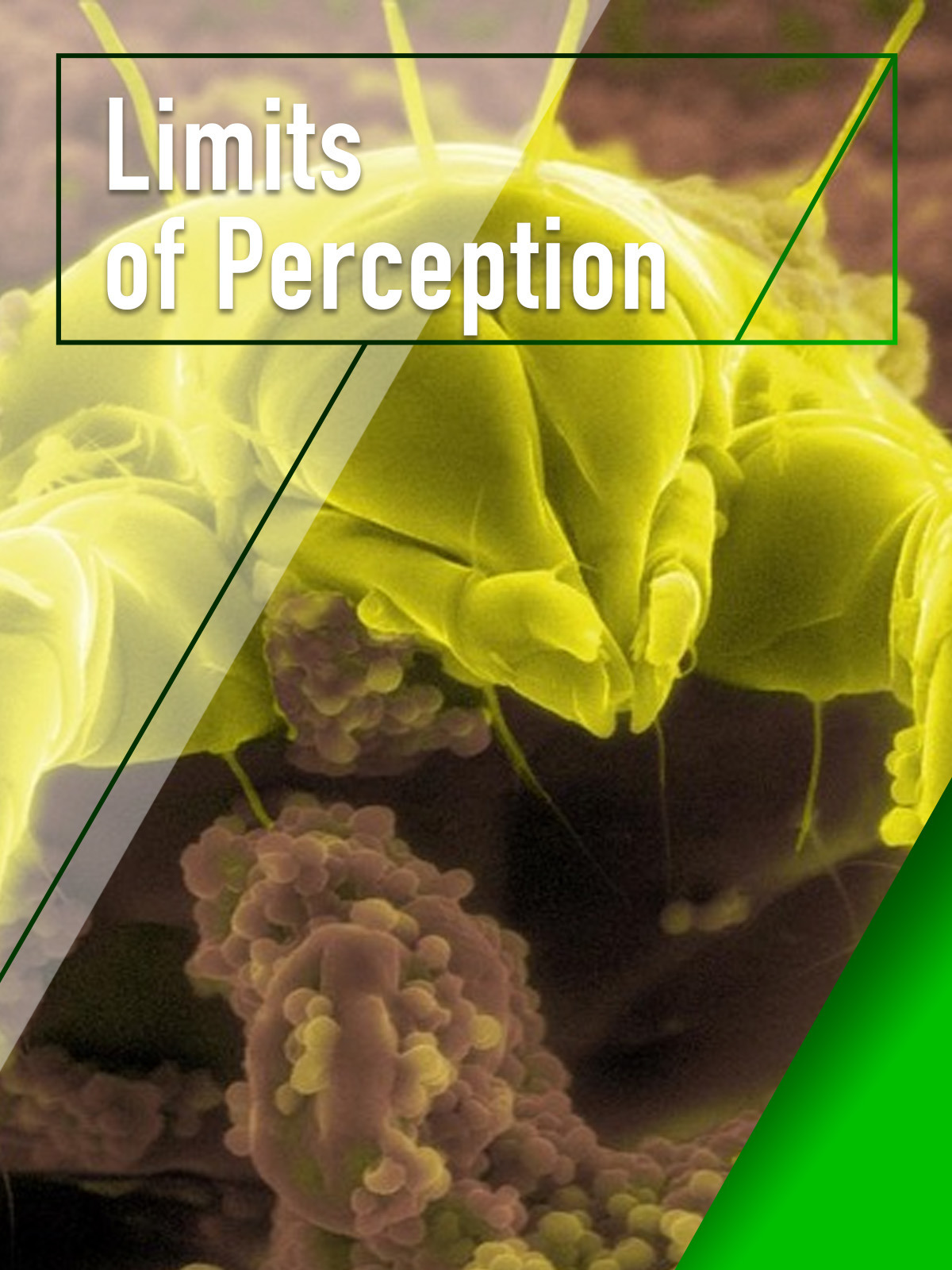 Prime Video: Limits of Perception