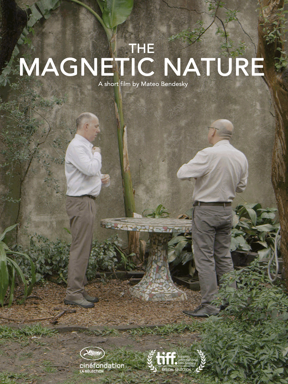 Prime Video: The Magnetic Nature