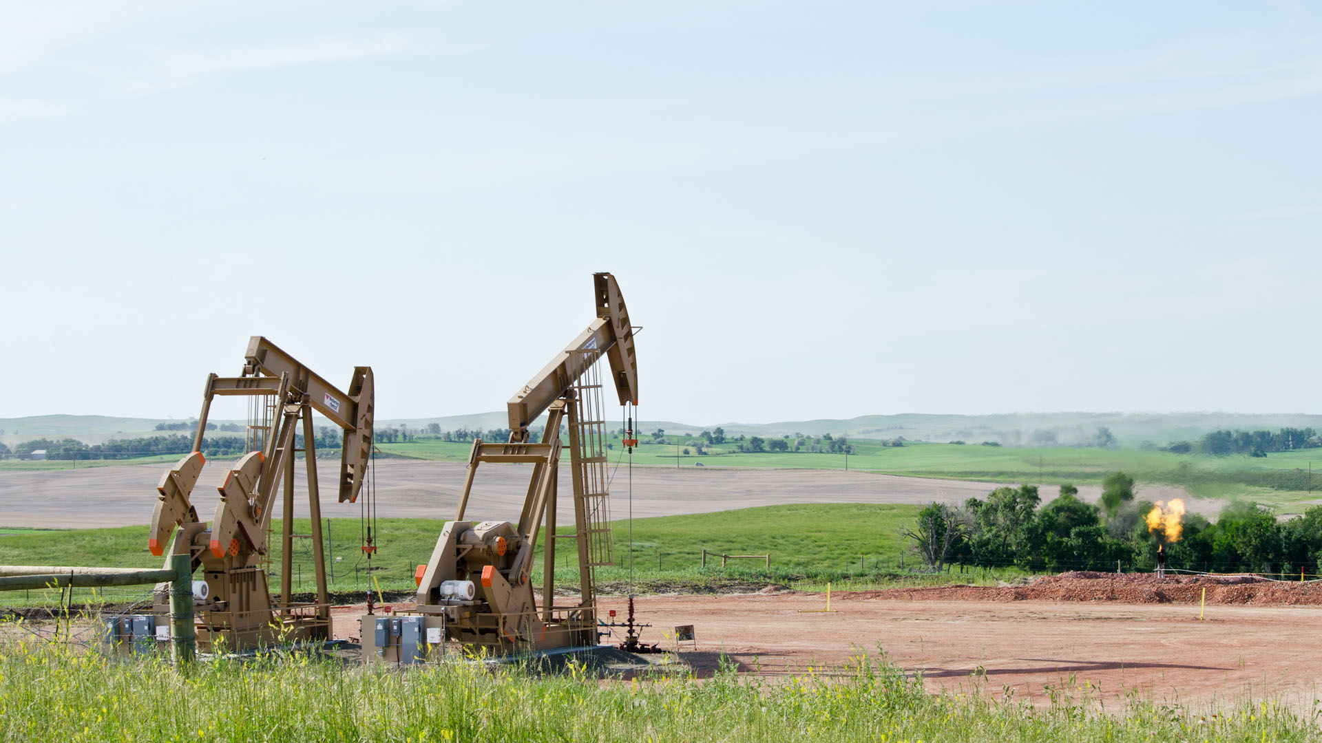 Prime Video: Frack Us