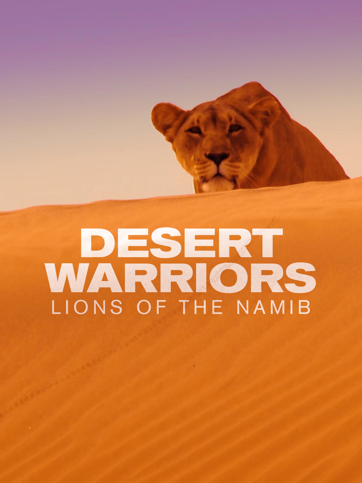 Prime Video: Desert Warriors Lions of the Namib