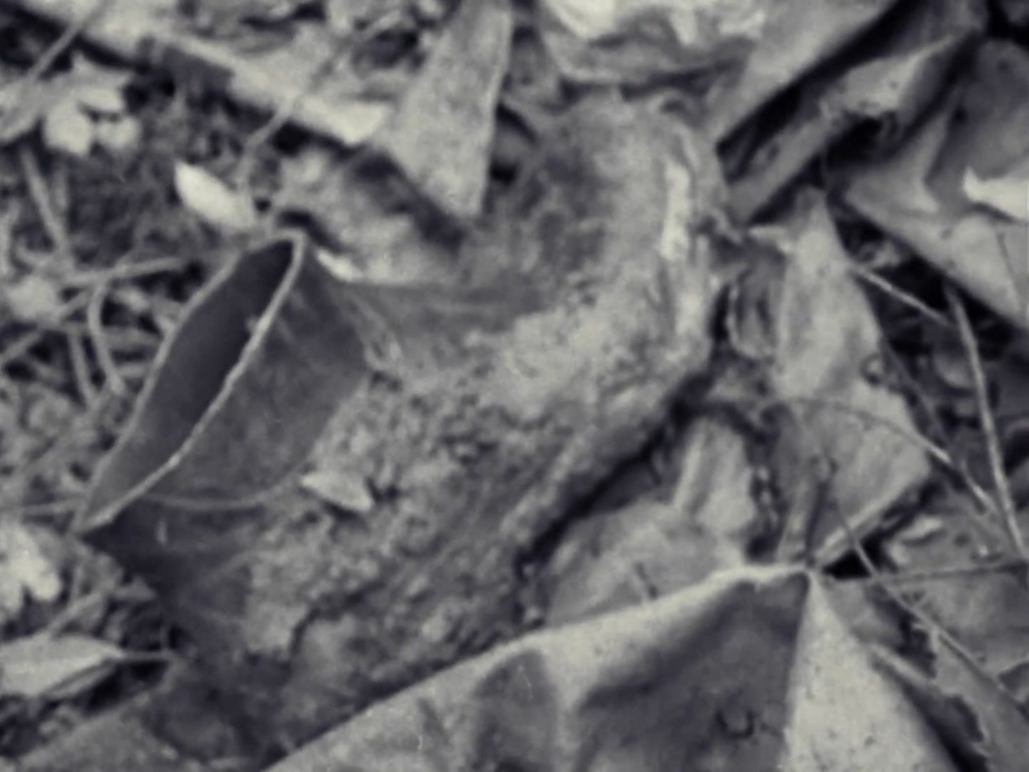 Prime Video: Murder Maps (Season 4)