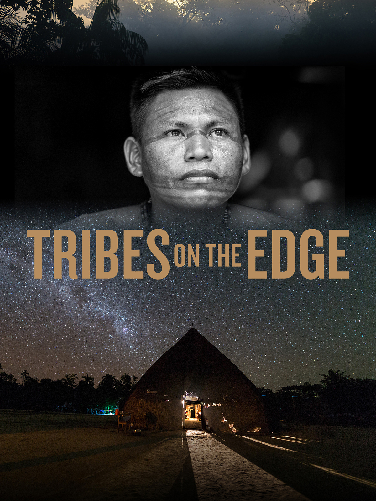 Céline Cousteau Founder Exec Director At Causecentric Productions ...