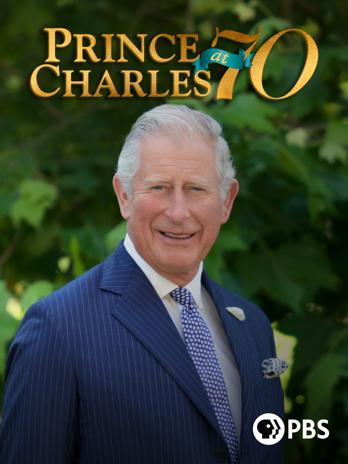 Prime Video: Prince Charles at 70
