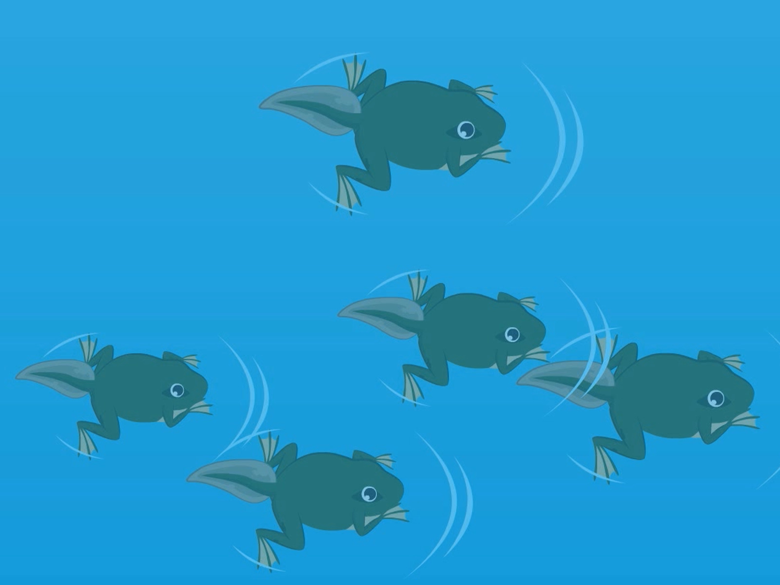 Prime Video: Knowsy Nina