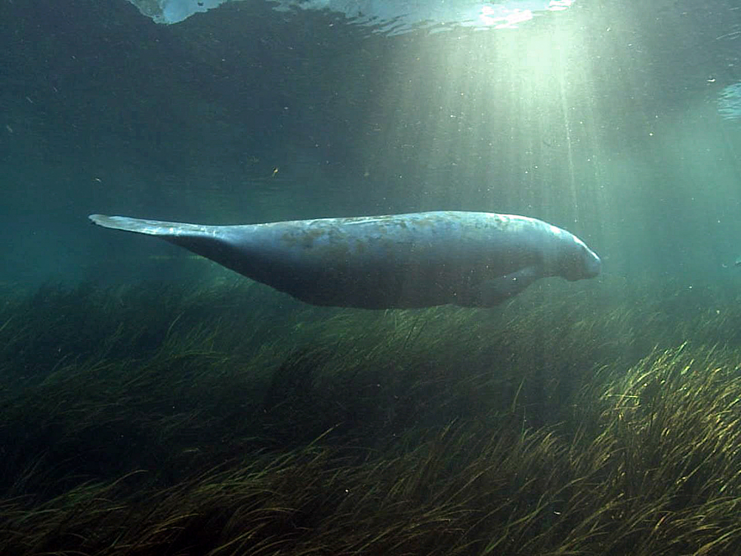 Prime Video: Hello World! - Season 1