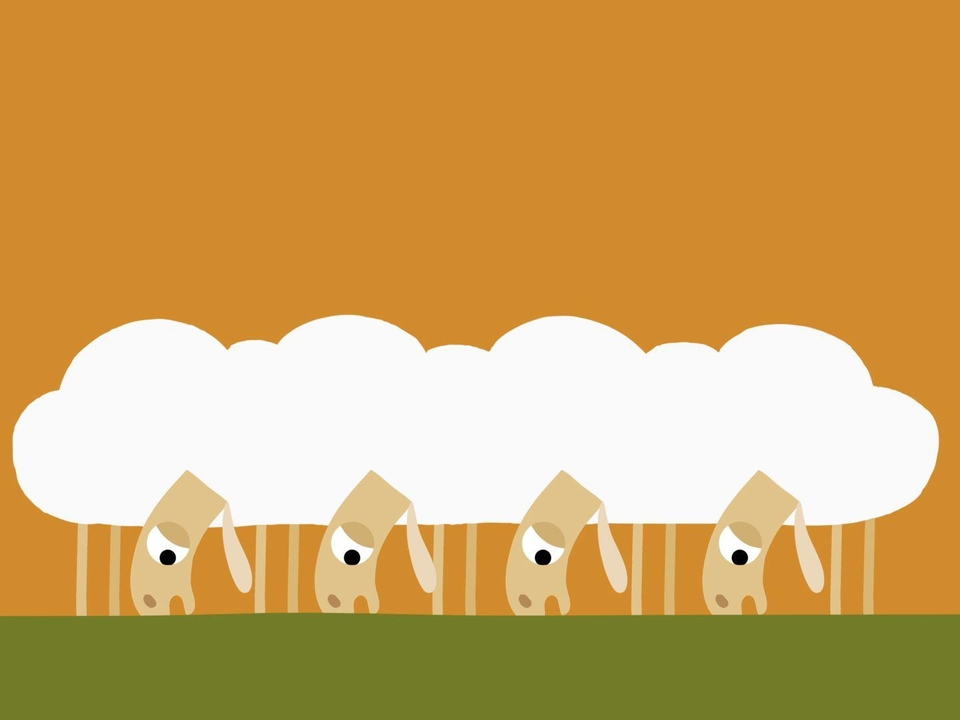 Prime Video: Animanimals - Season 1