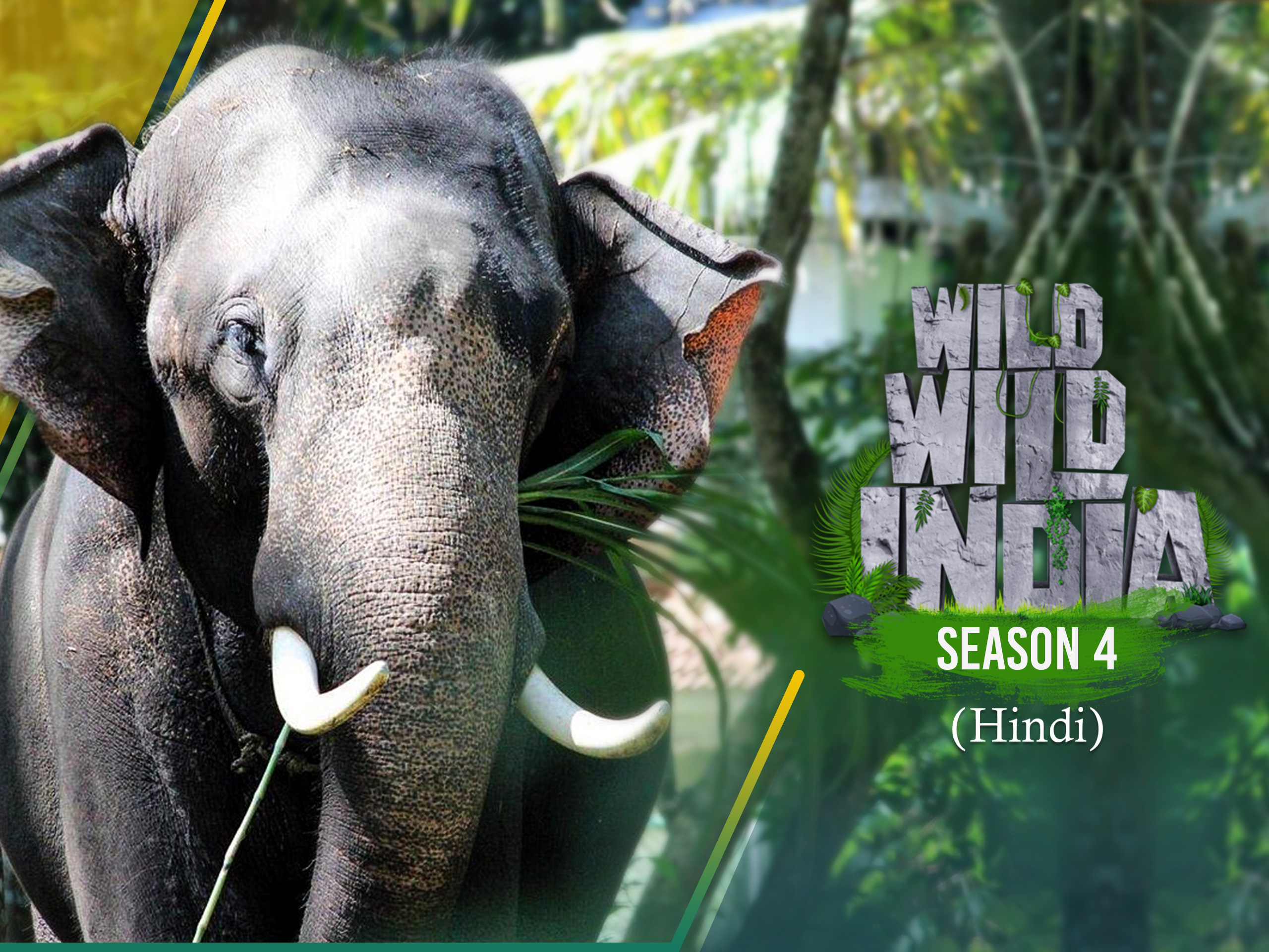 Prime Video: Wild Wild India Hindi