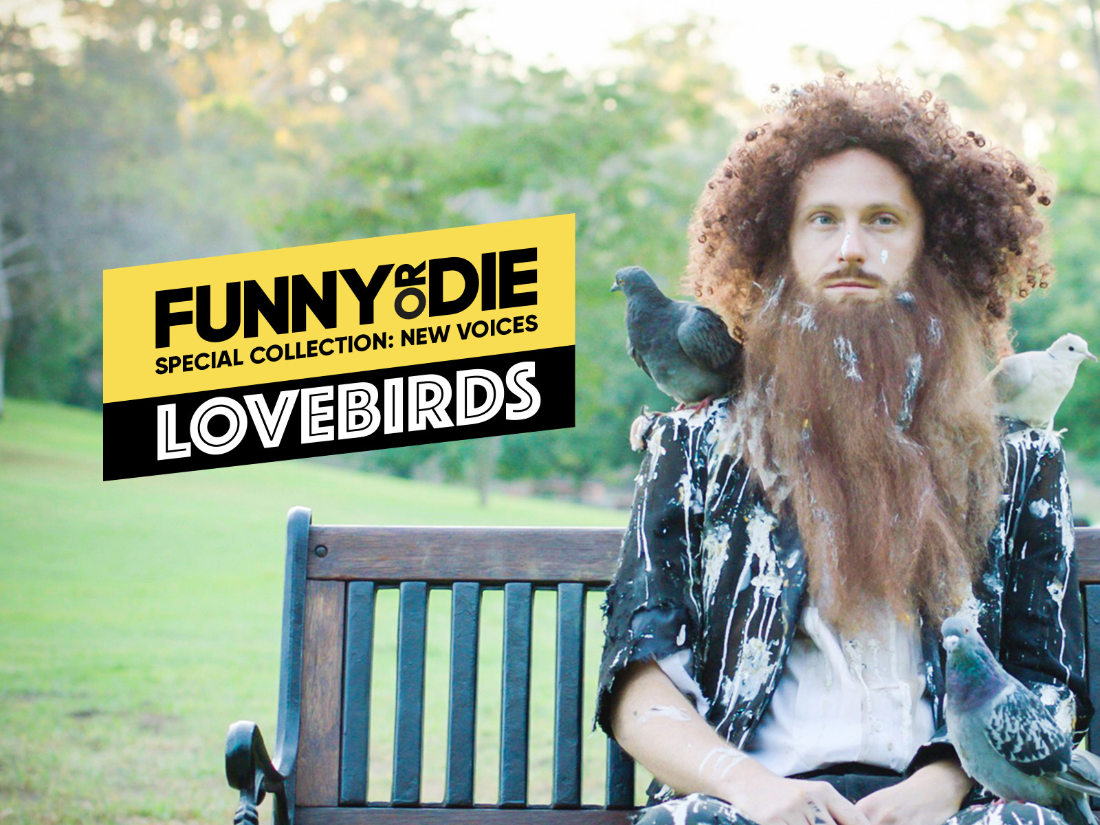 Prime Video: Funny or Die Special Collection: New Voices