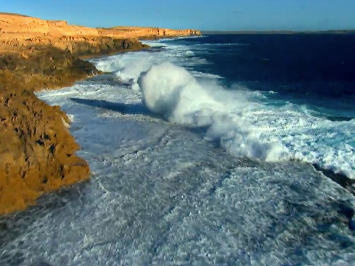 Prime Video: Planet Ocean - Season 1