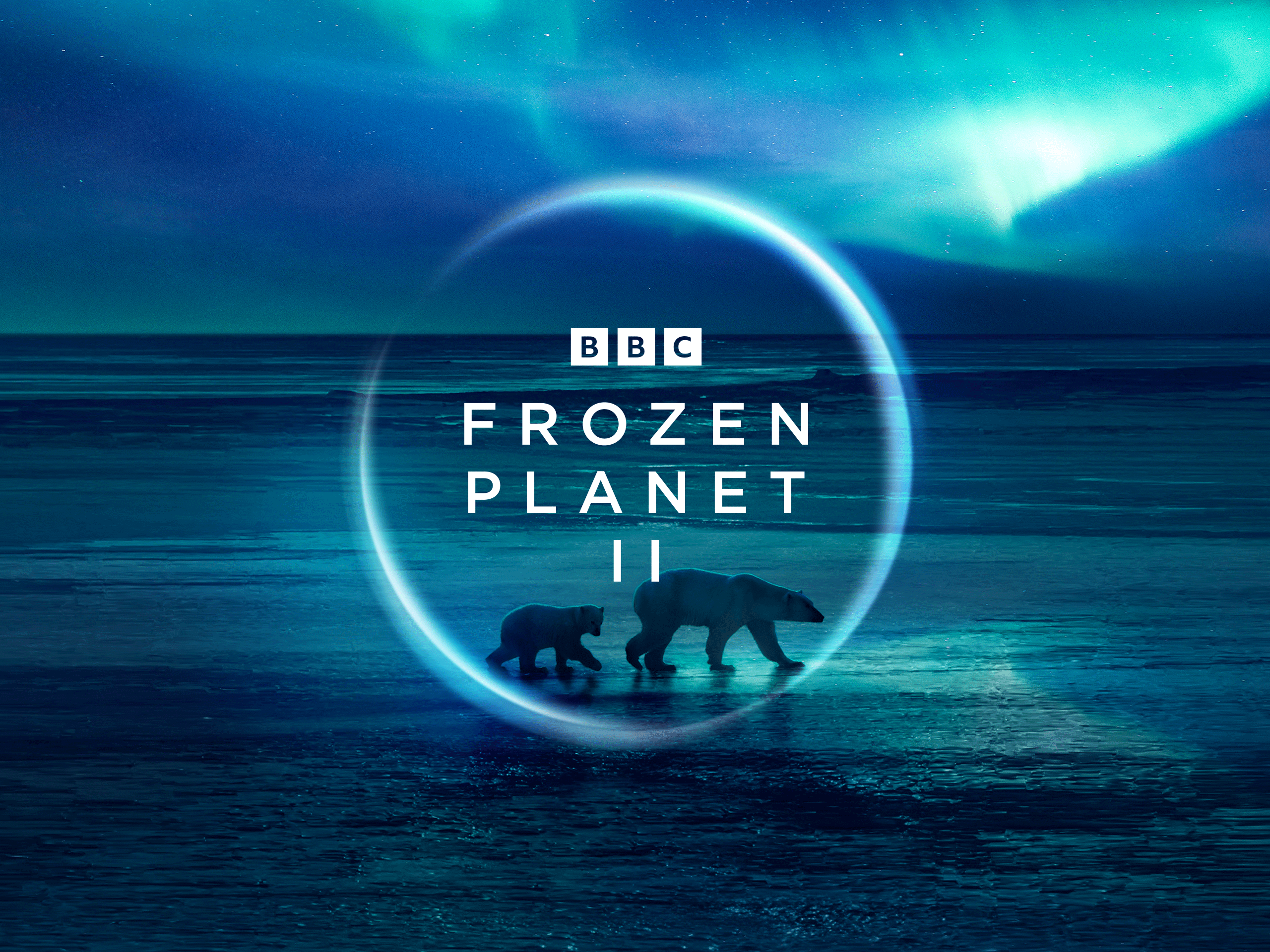 Prime Video: Planet Earth: Frozen Planet II, Season 1