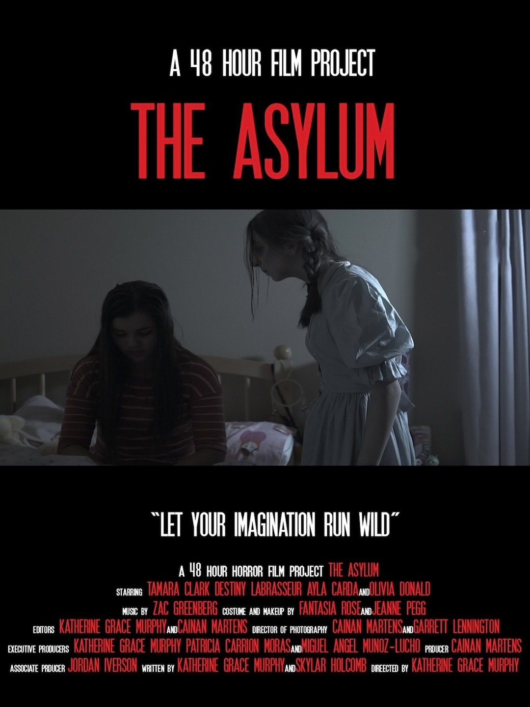 Prime Video: The Asylum