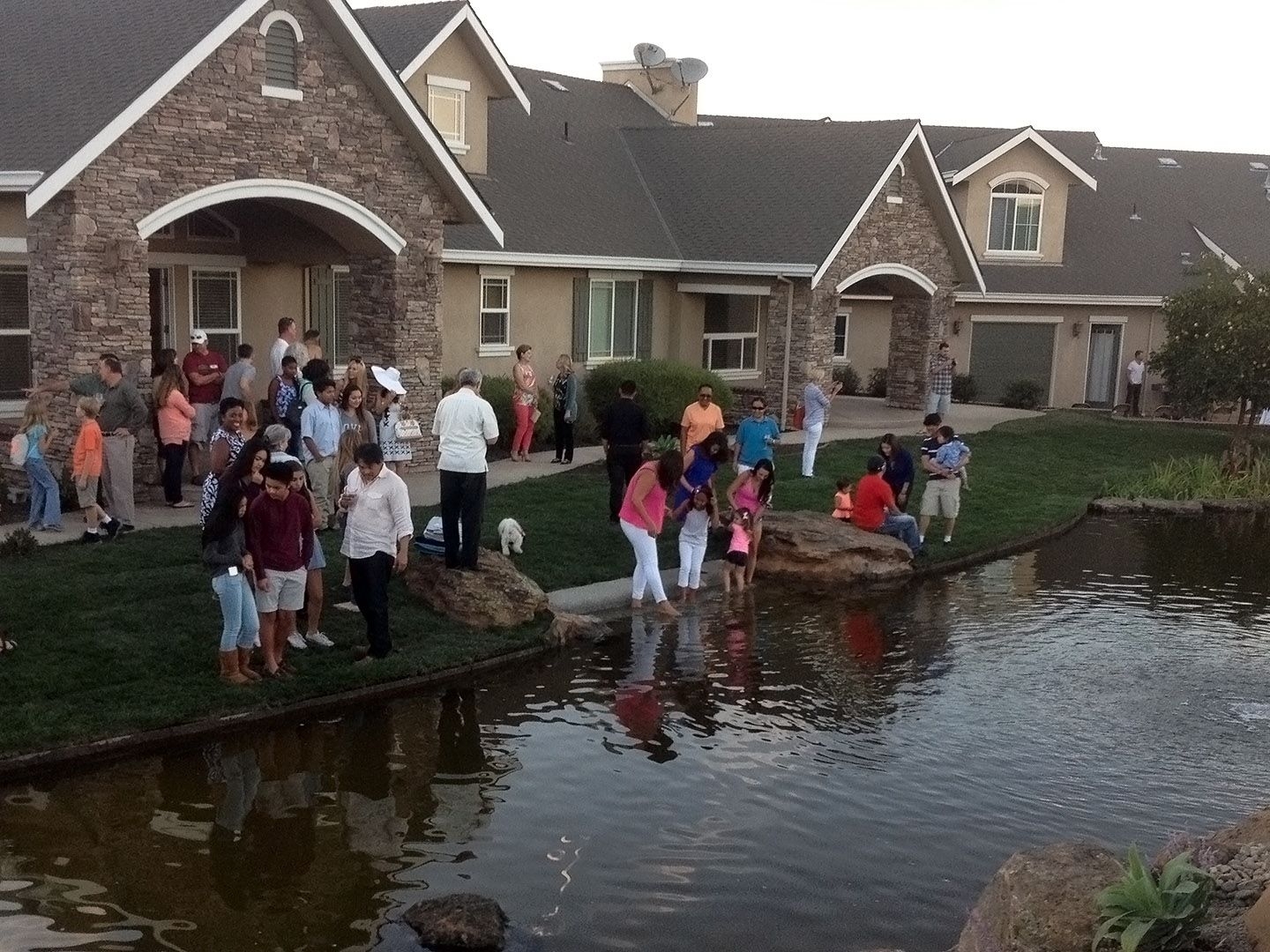 Prime Video: The Pool Master - Season 1