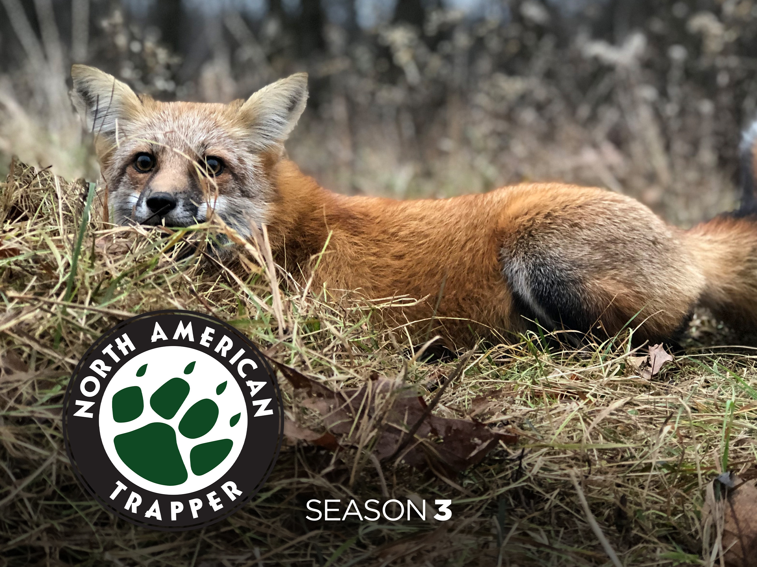 Prime Video: North American Trapper - Season 3