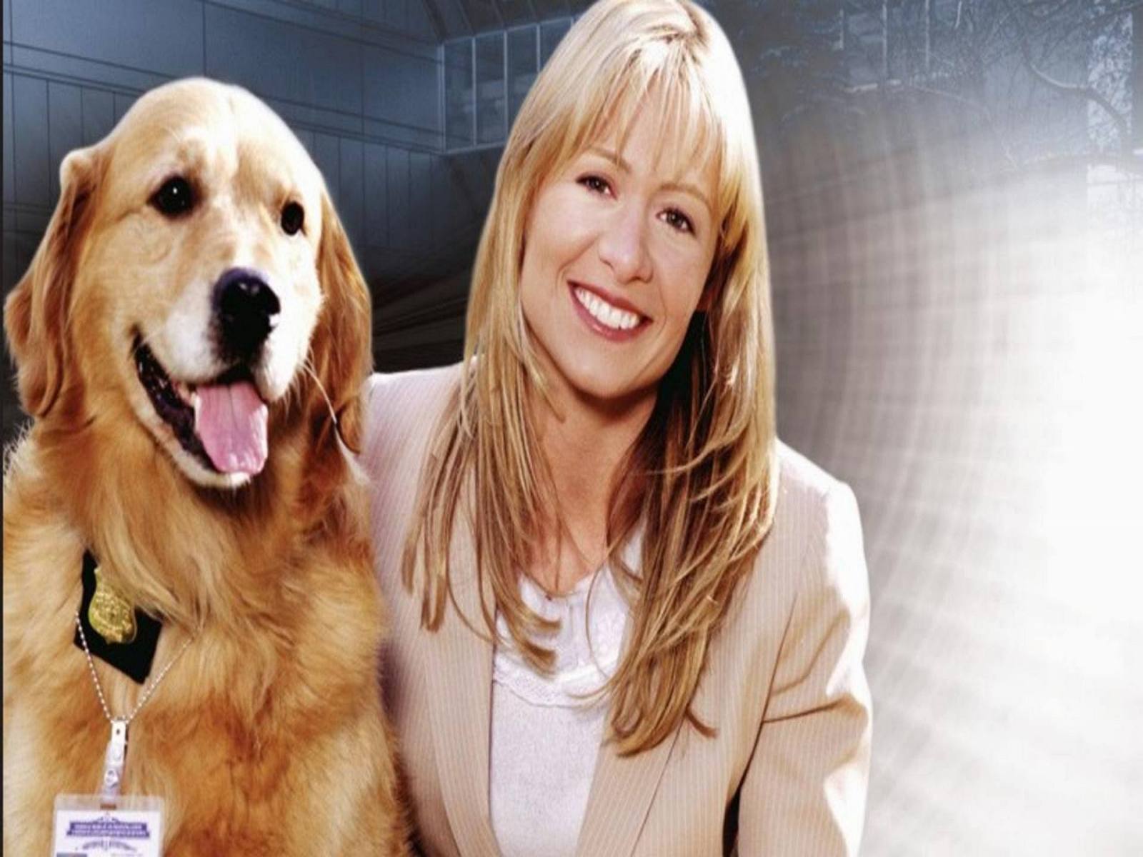 Prime Video: Sue Thomas F.B. Eye