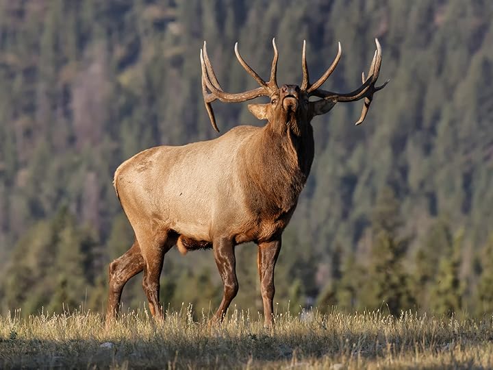 Prime Video: Round Planet - Season 1