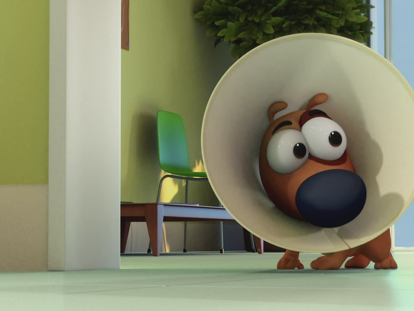 Prime Video: Pat the Dog - Season 1