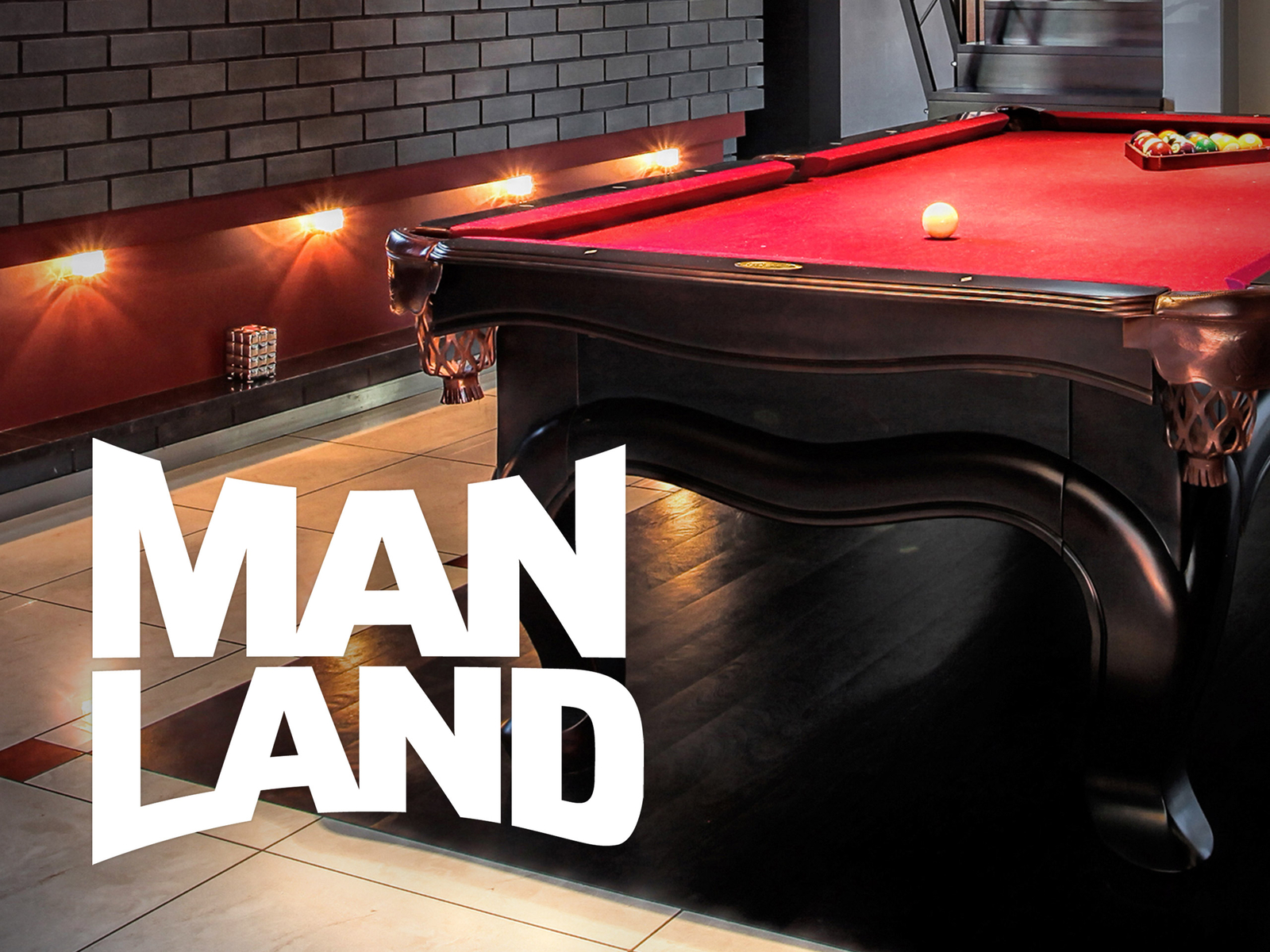 Prime Video: Man Land - Season 1