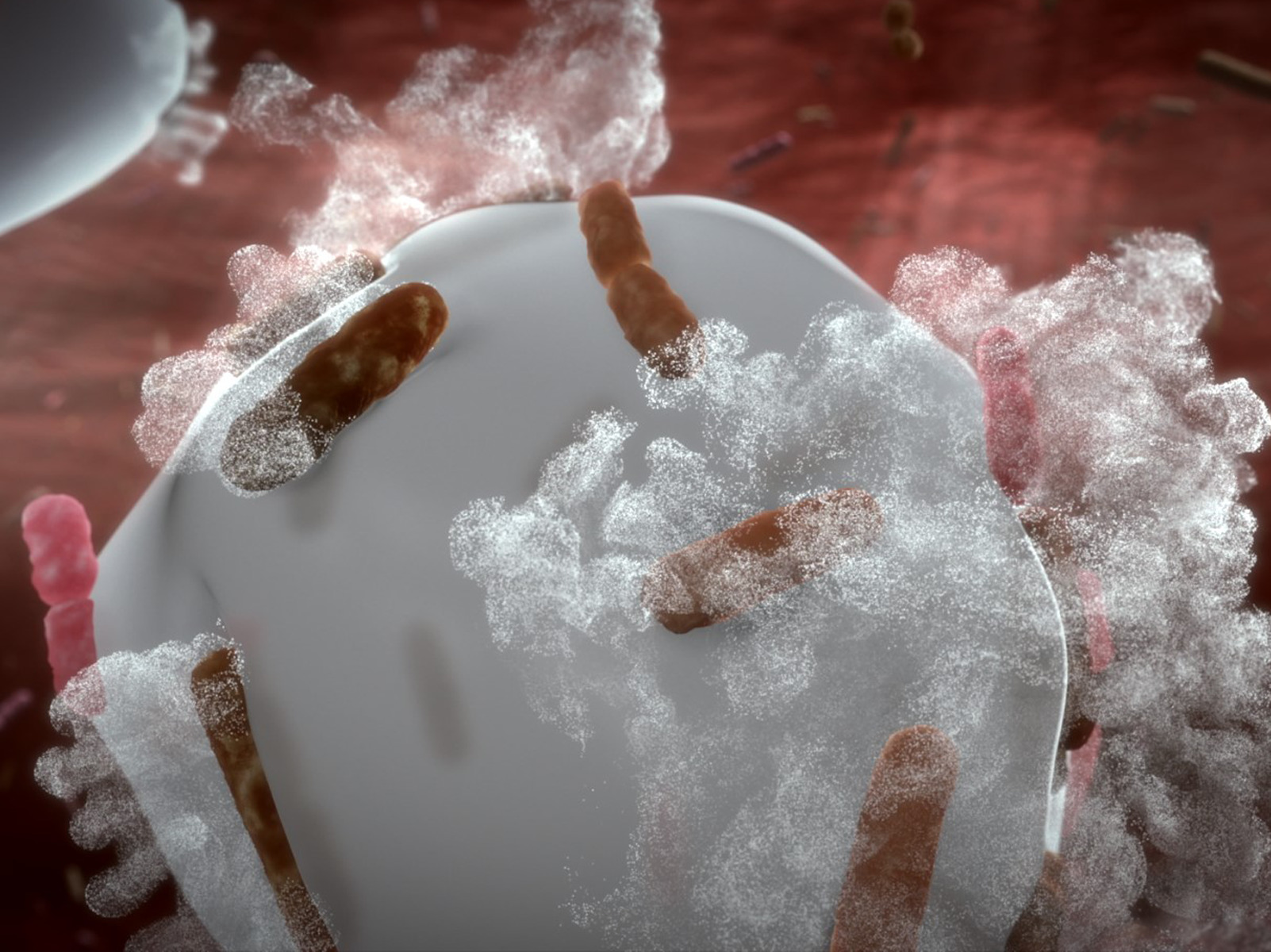 Prime Video: El Cuerpo