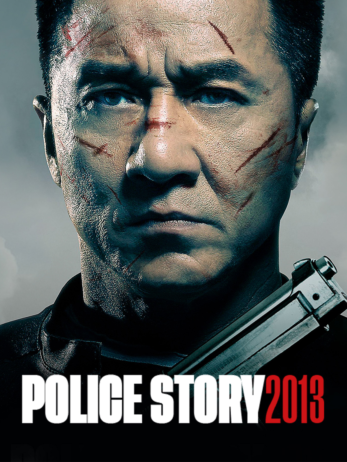 Prime Video: Police Story 2013