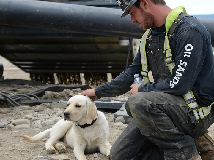 Amazon.com: Gold Rush - Season 8 : Kevin Hiatt, Mike Krisher, Greg ...