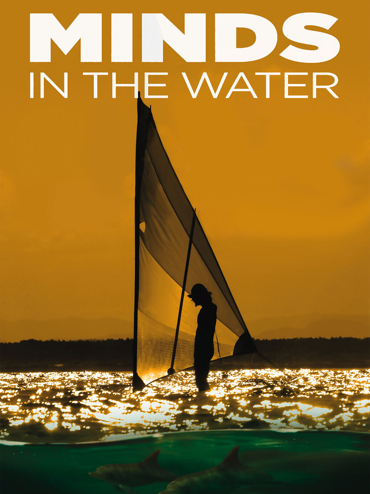 Prime Video: Minds in the Water