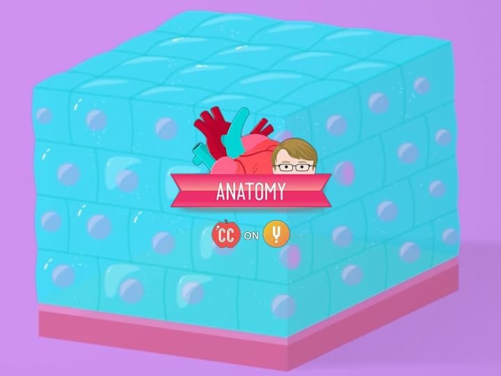 Prime Video: Crash Course: Anatomy & Physiology - Season 1