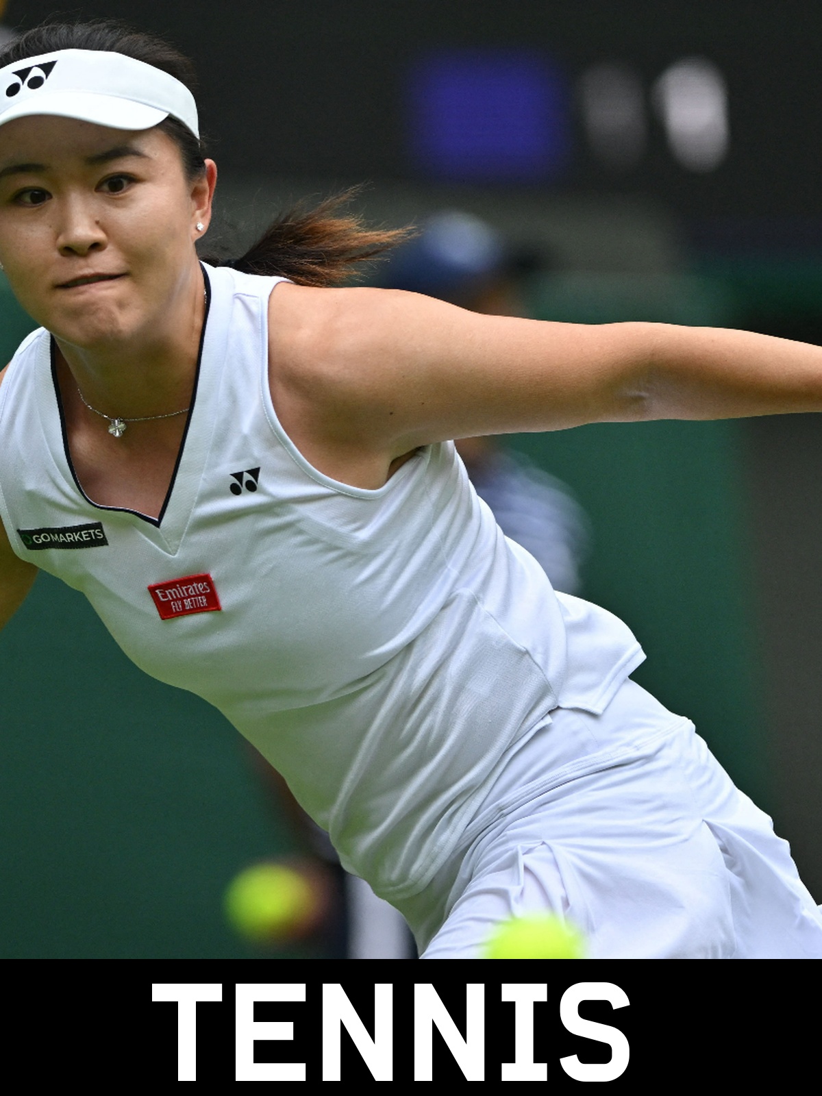 Prime Video: F. Wu / L. Zhu - C. Dolehide / S. Zhang