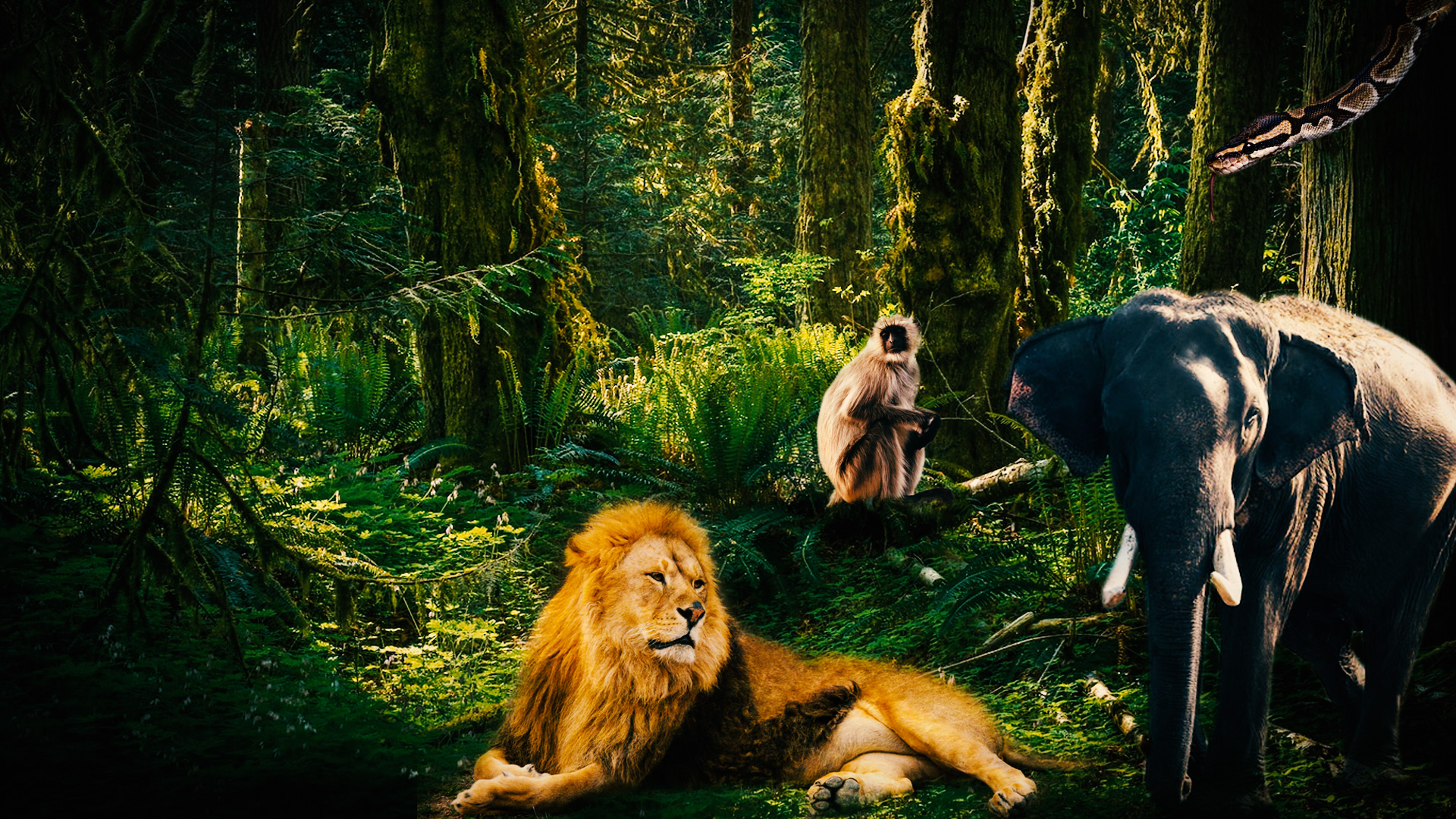 Prime Video: Animals in mythology