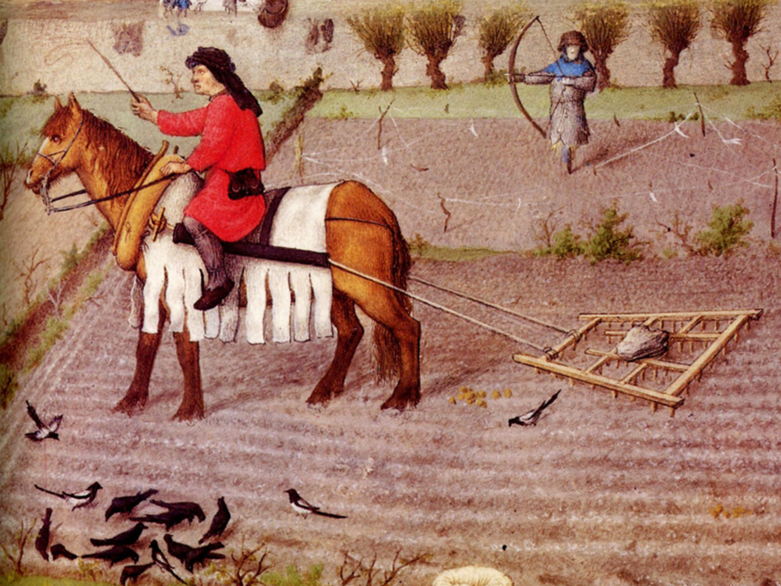 Prime Video: The Black Death: The World's Most Devastating Plague