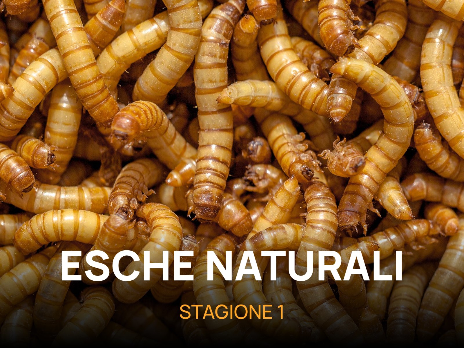 Prime Video: Esche naturali