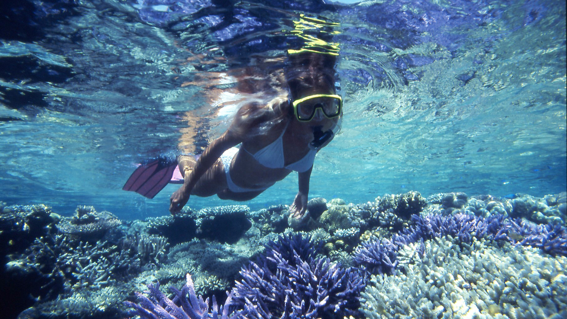 Watch Travel Wild | Prime Video