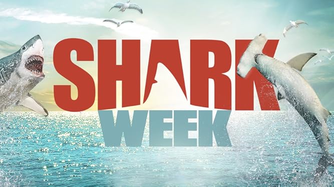 Watch Shark Week Season 2013 | Prime Video