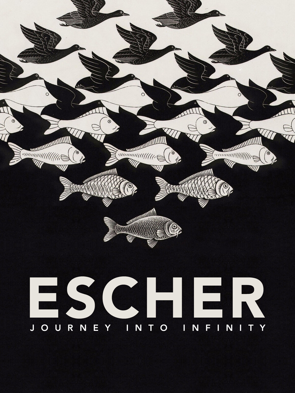 Prime Video: Escher: Journey into Infinity