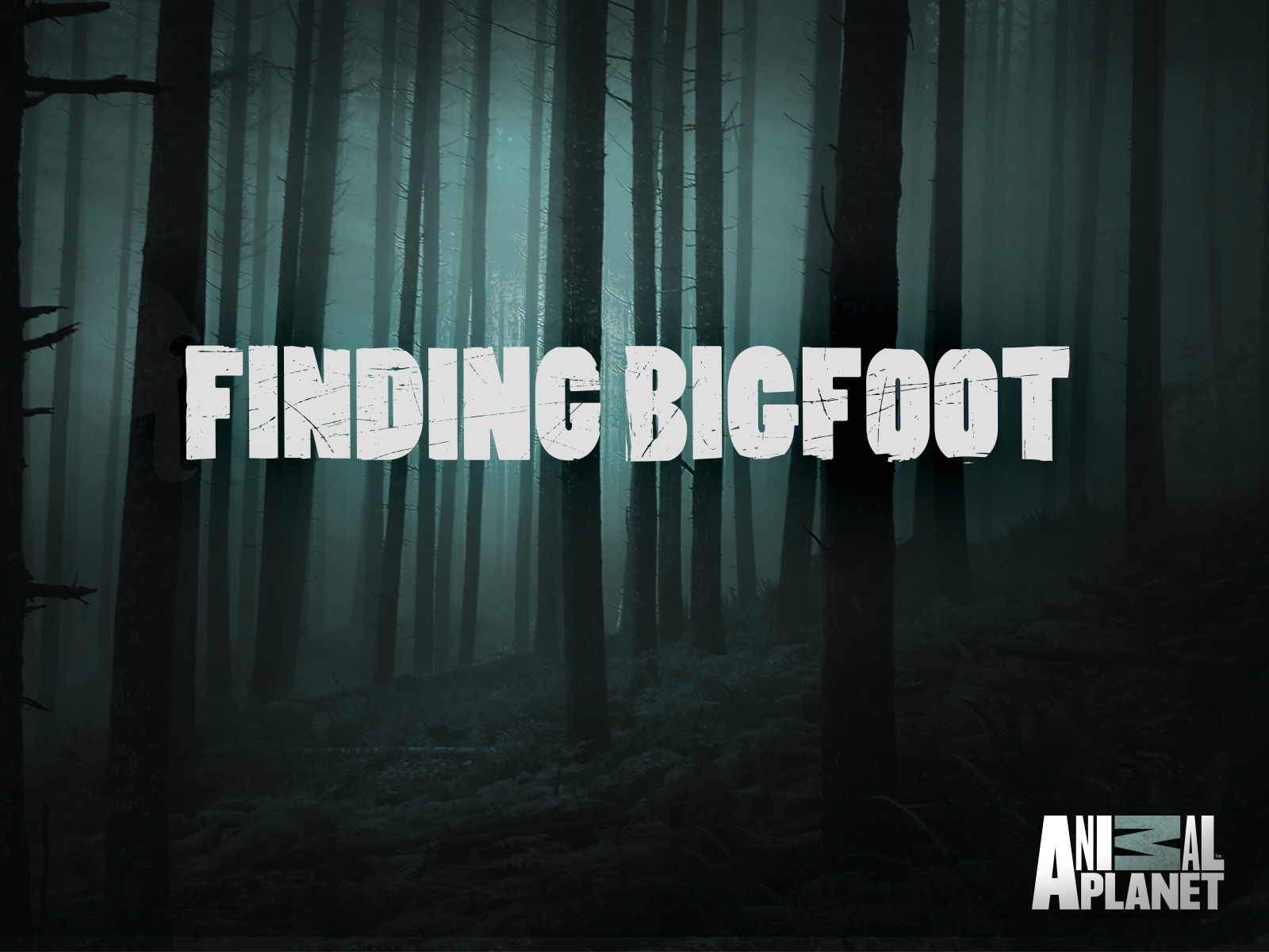 Finding Bigfoot Wallpaper