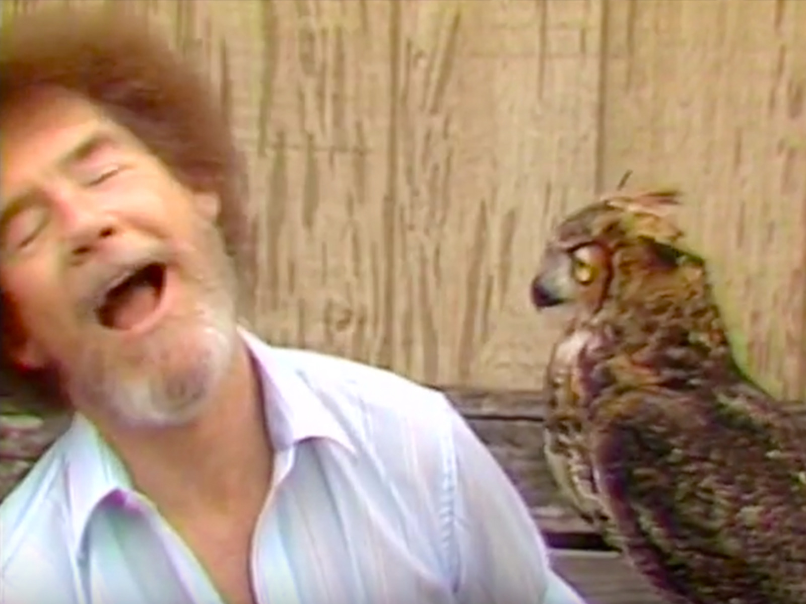 Prime Video: Bob Ross: The Joy of Painting