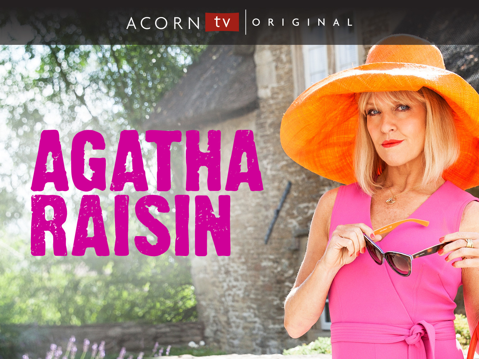 Prime Video: Agatha Raisin - Series 2