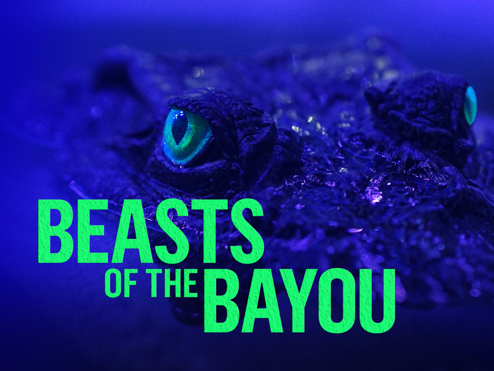 Prime Video: Beasts of the Bayou - Season 1