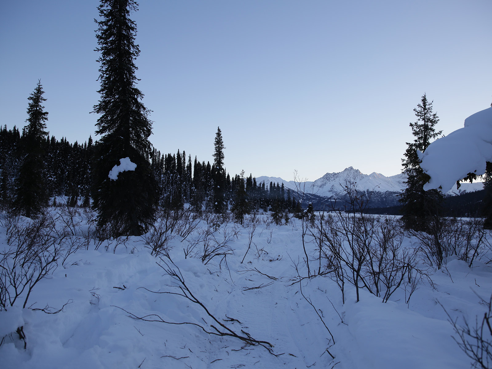 Prime Video: Life Below Zero Canada - Season 1