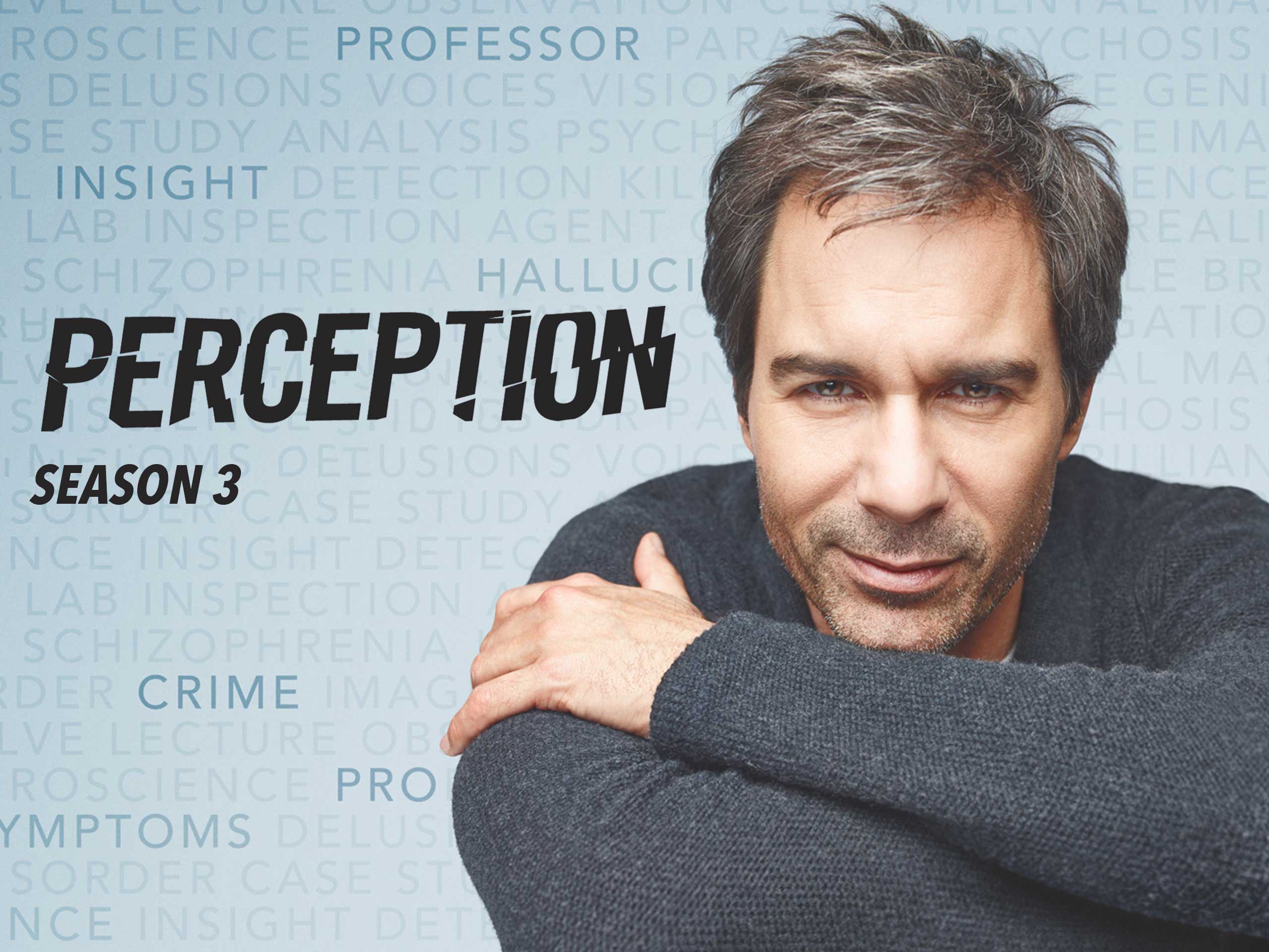 Perception Season 2