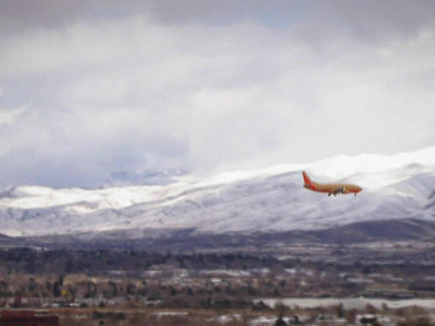 Prime Video: Forensics: You Decide - Season 1