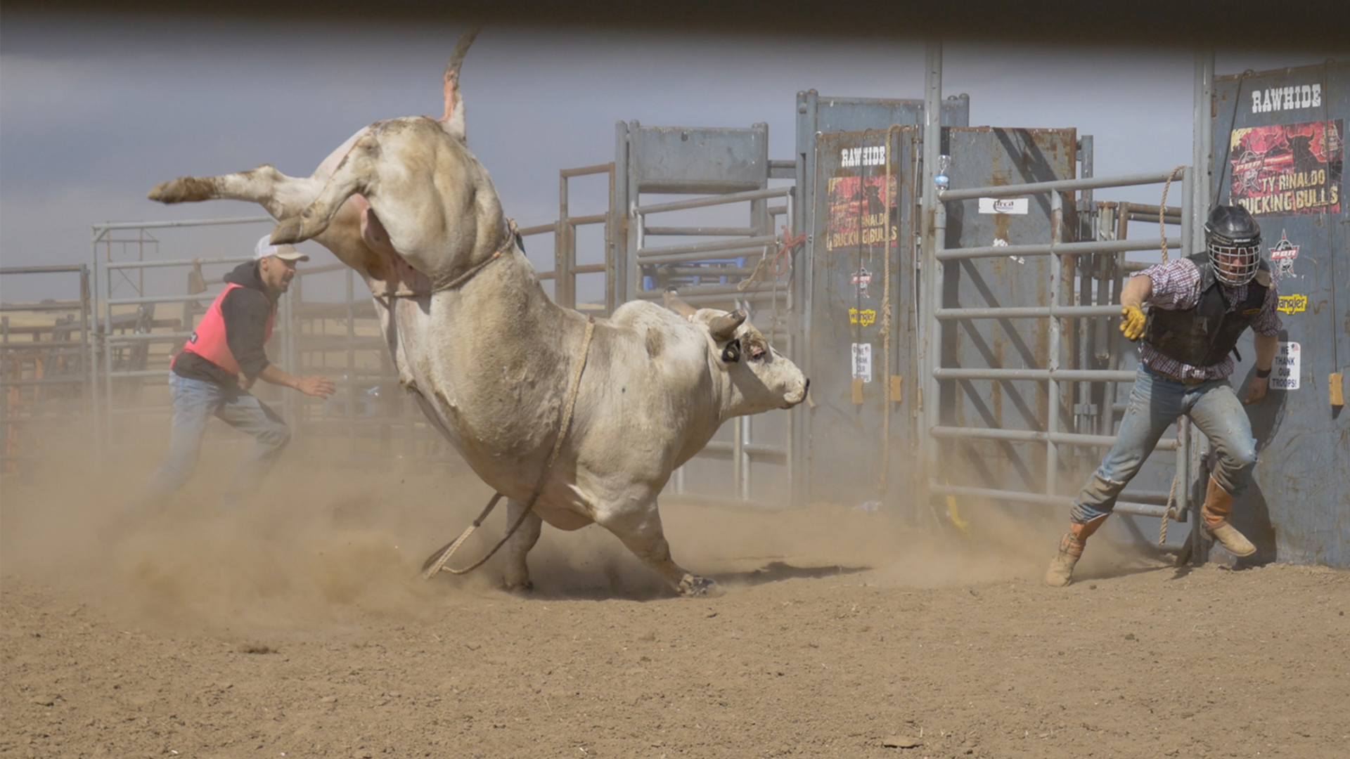 Prime Video: Buckin' Bulls: The Story of Ty Rinaldo