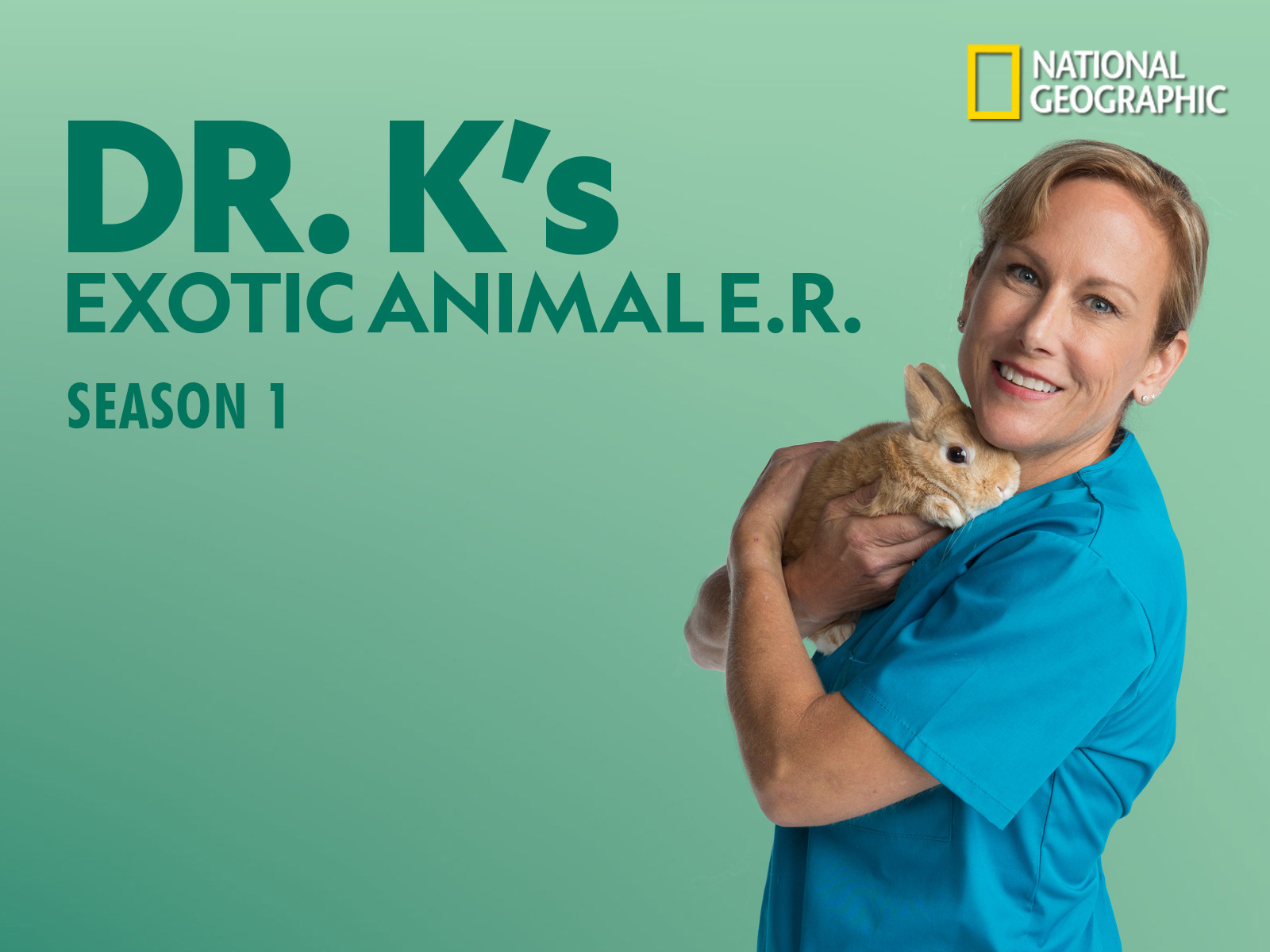 Prime Video: Dr. K's Animal ER Compilations - Season 1