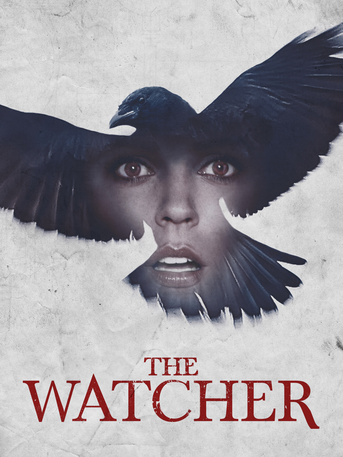 Prime Video: The Watcher