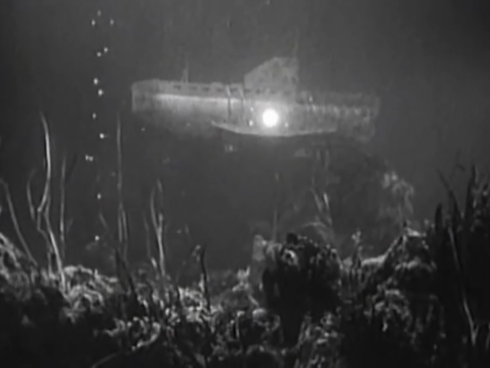 Prime Video: Clipe: National Kid