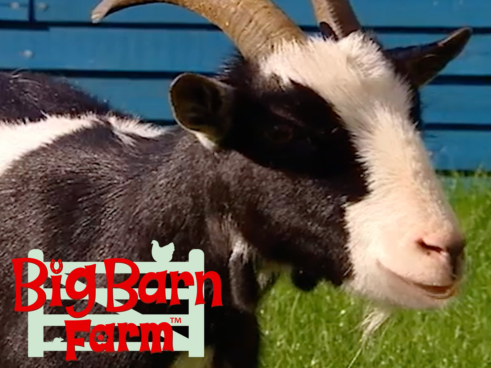 Prime Video: Big Barn Farm
