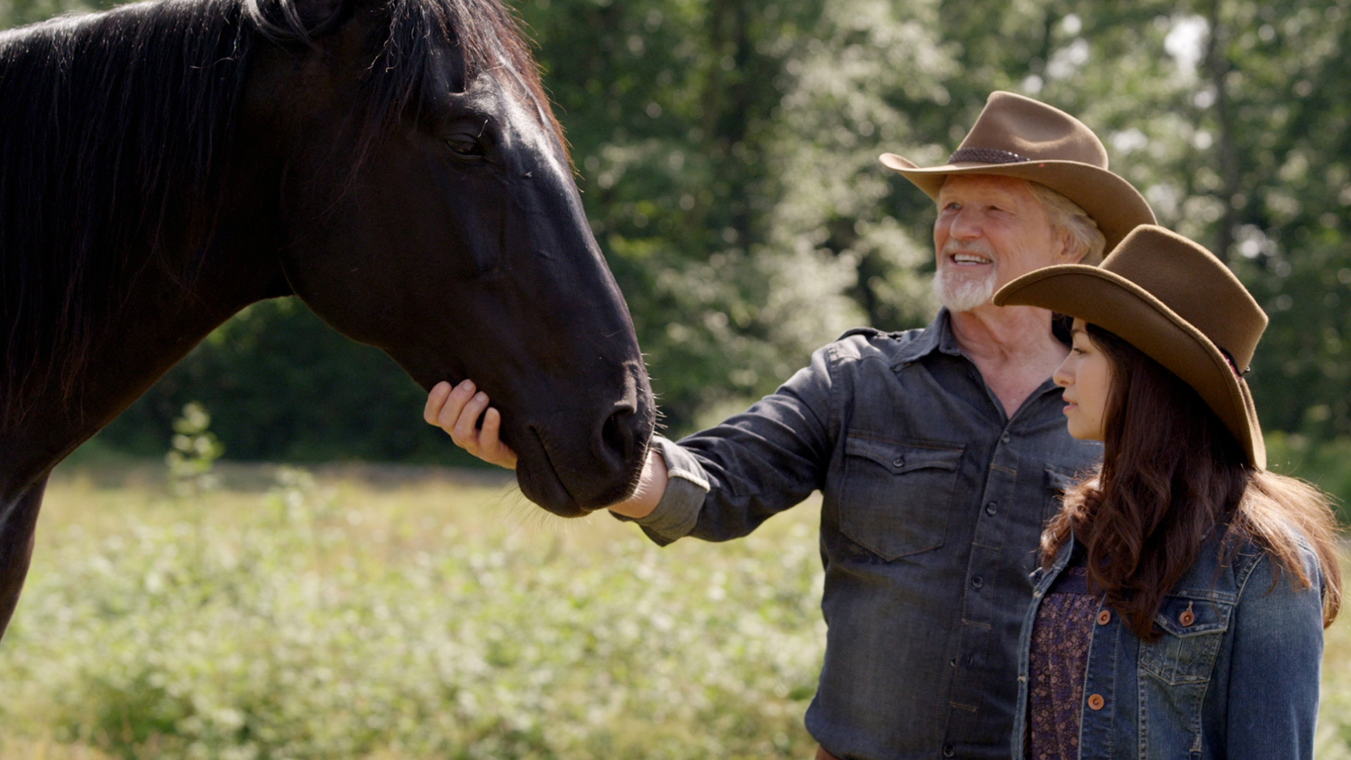 Prime Video: Midnight Stallion