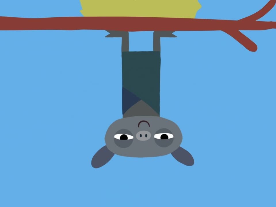 Prime Video: Animanimals - Season 1